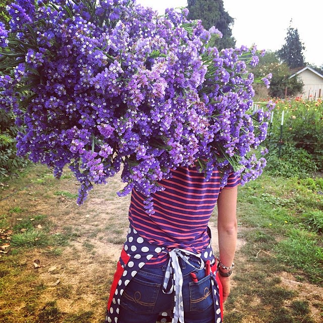 Floret Flower Farm Instagram | Best Flower Site