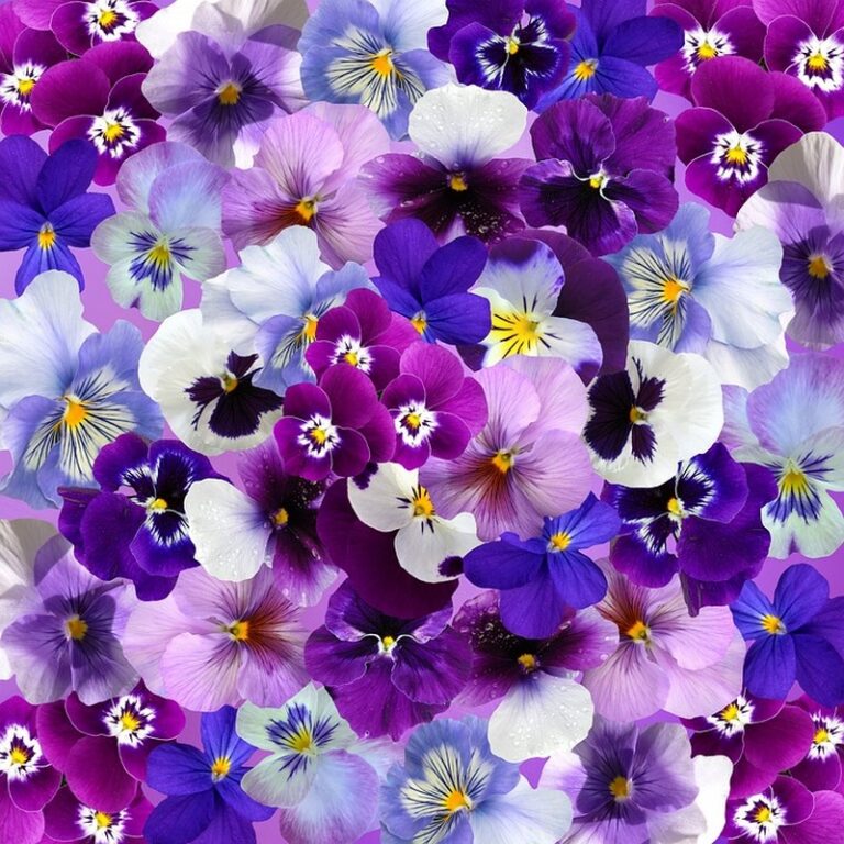 Una de Instagram: Floret Flower Farm - EL BLOG DE LA TABLA