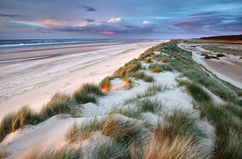 Changing Coastlines. Fotografía de flora costera. IGPOTY N.8 - EL BLOG ...