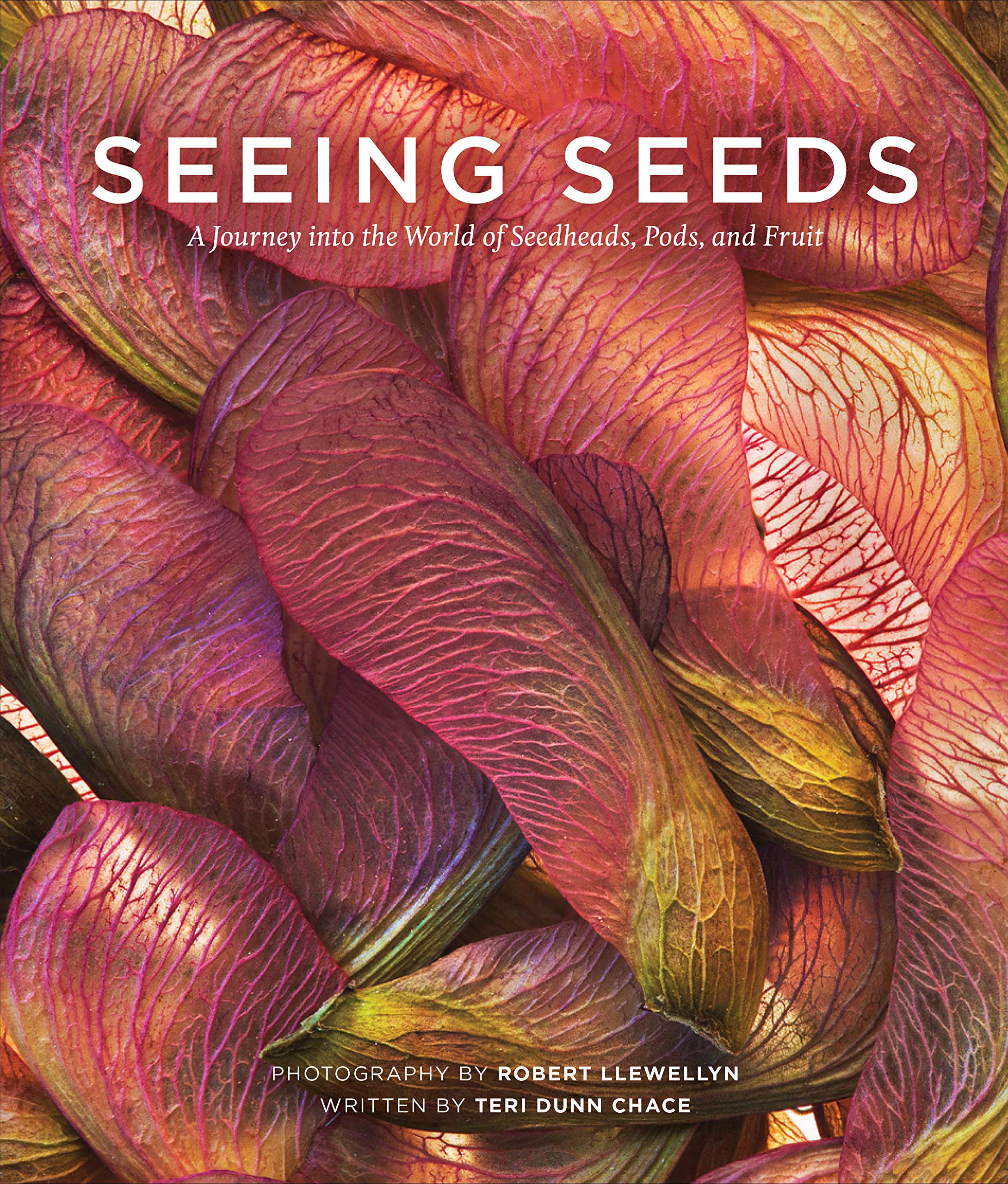 Seeing seeds. Un libro para mirar (y conocer) el mundo de las semillas ...