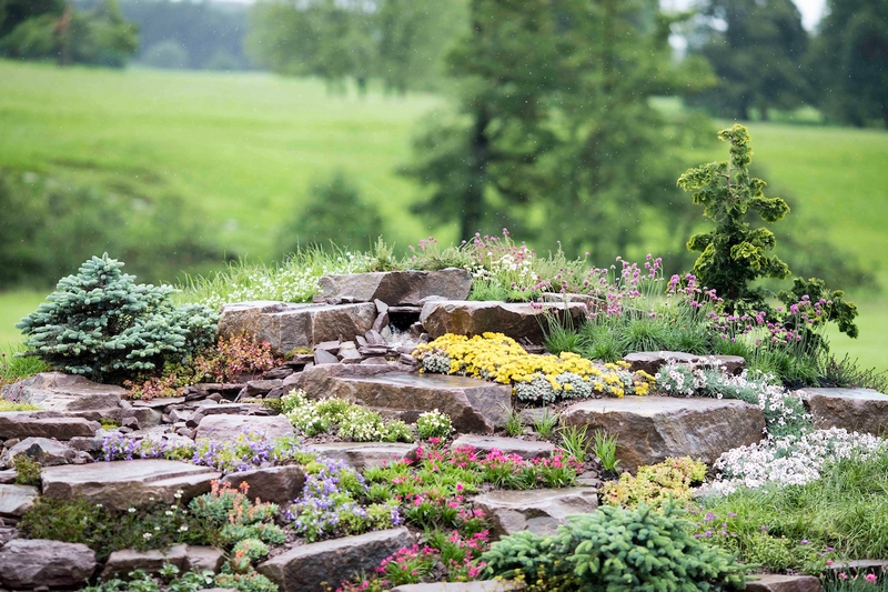 Un jardín de agua de estilo naturalista en Chatsworth Flower Show 2017 ...