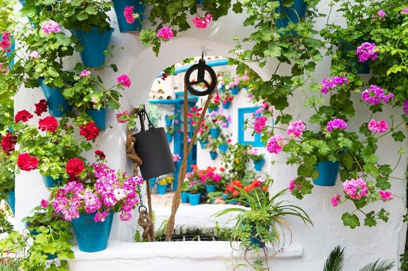 jardín en maceta archivos - EL BLOG DE LA TABLA