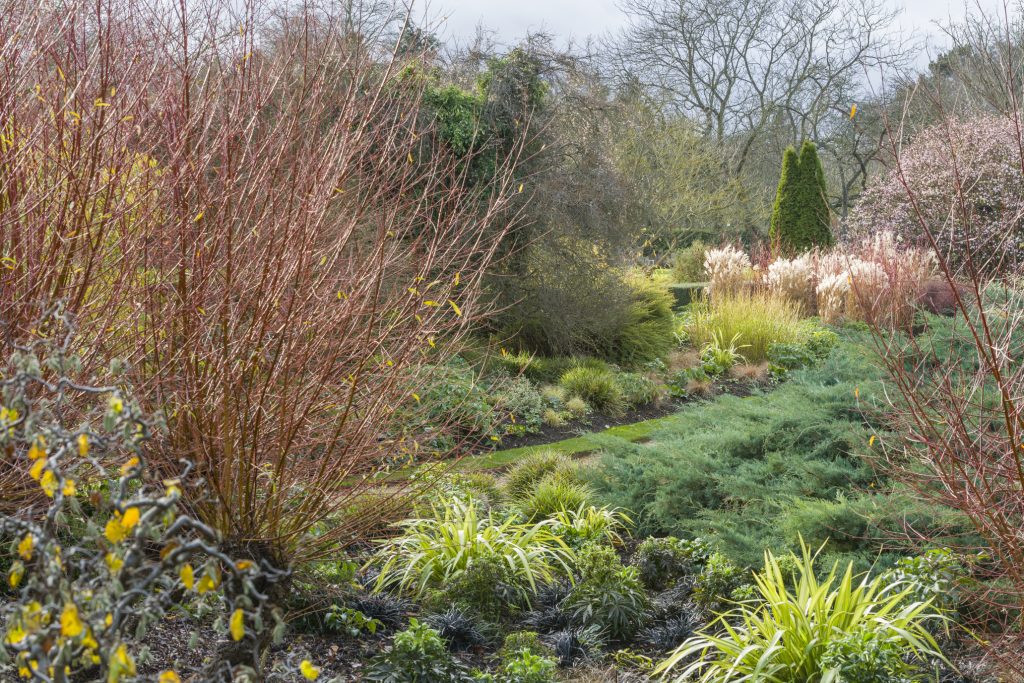 Winter Garden en el Botánico de Cambridge: oda al invierno - EL BLOG DE ...