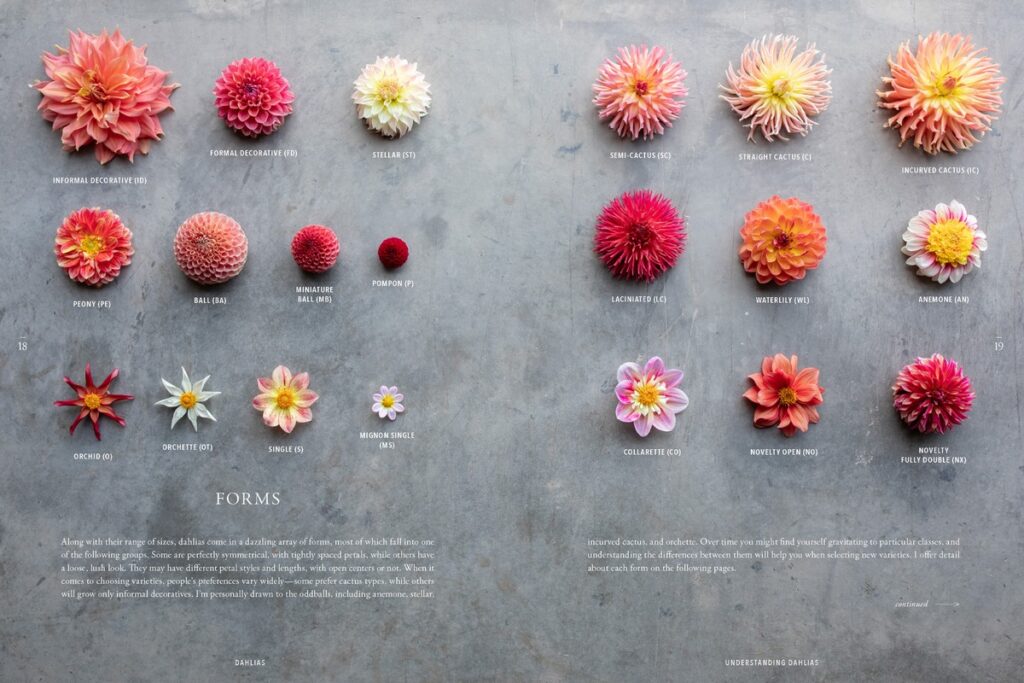 libros flores archivos - EL BLOG DE LA TABLA