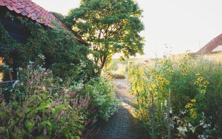 Wild. 41 jardines de estilo naturalista en diferentes zonas climáticas ...