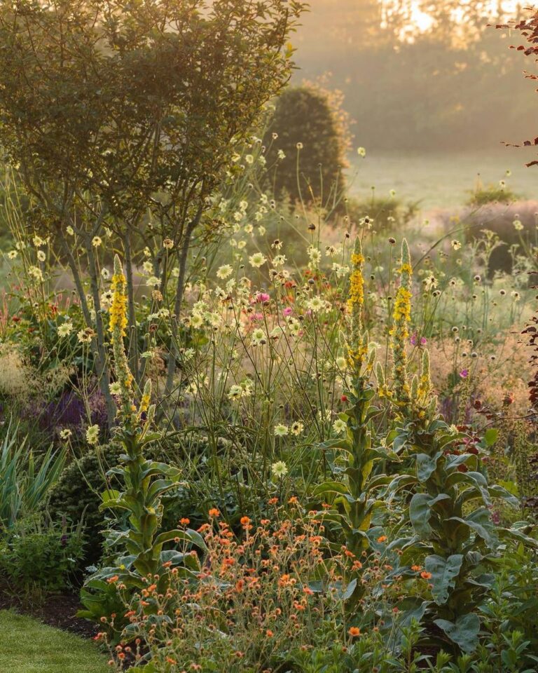 Un jardín familiar con plantación naturalista que se funde con el ...