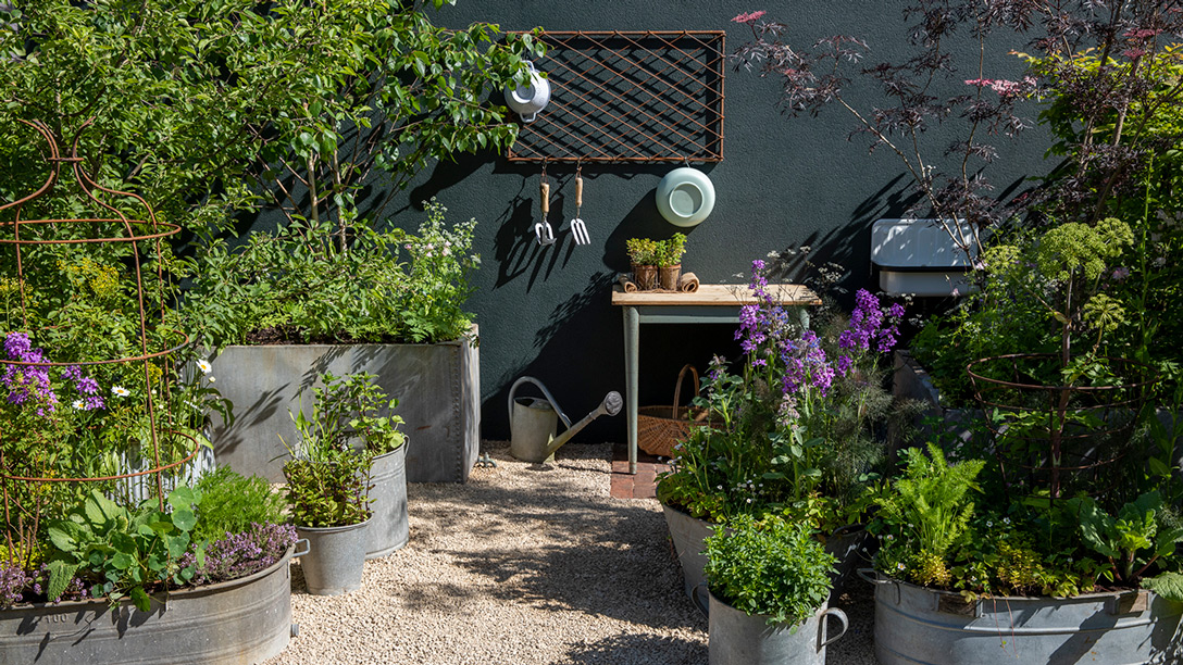 Jardines en contenedores y espacios pequeños vistos en Chelsea Flower ...