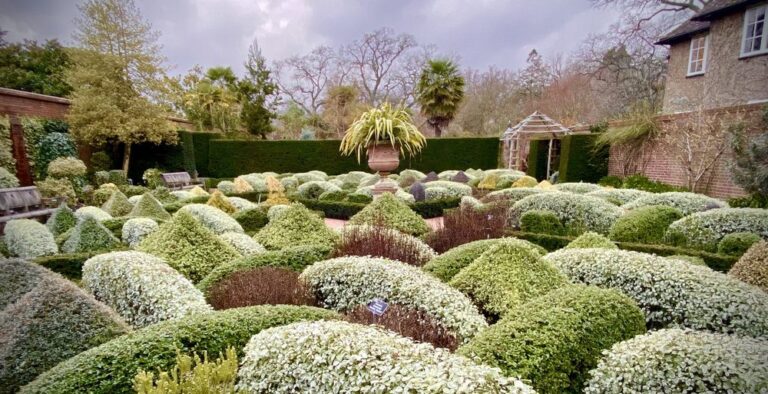 Parterres y topiaria con plantas alternativas al boj en el jardín ...