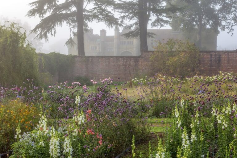 Cultivo de flores de corte en el jardín amurallado de Stokesay Court ...