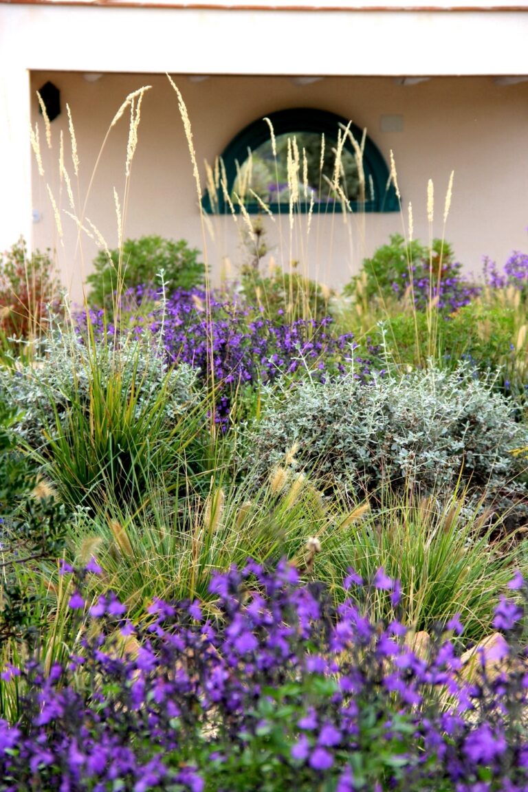 Jardín seco con plantación naturalista y la Sierra de Gredos como ...