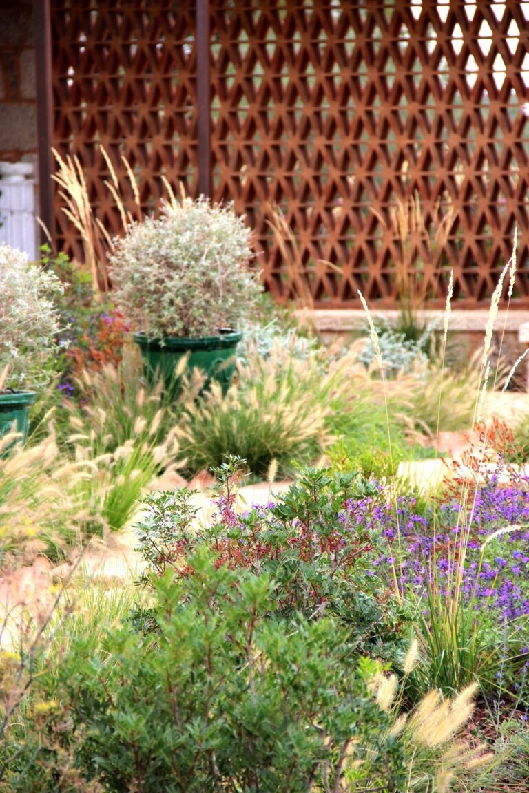 Jardín seco con plantación naturalista y la Sierra de Gredos como ...