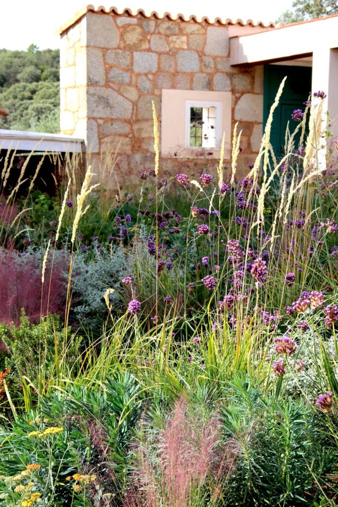 Jardín seco con plantación naturalista y la Sierra de Gredos como ...