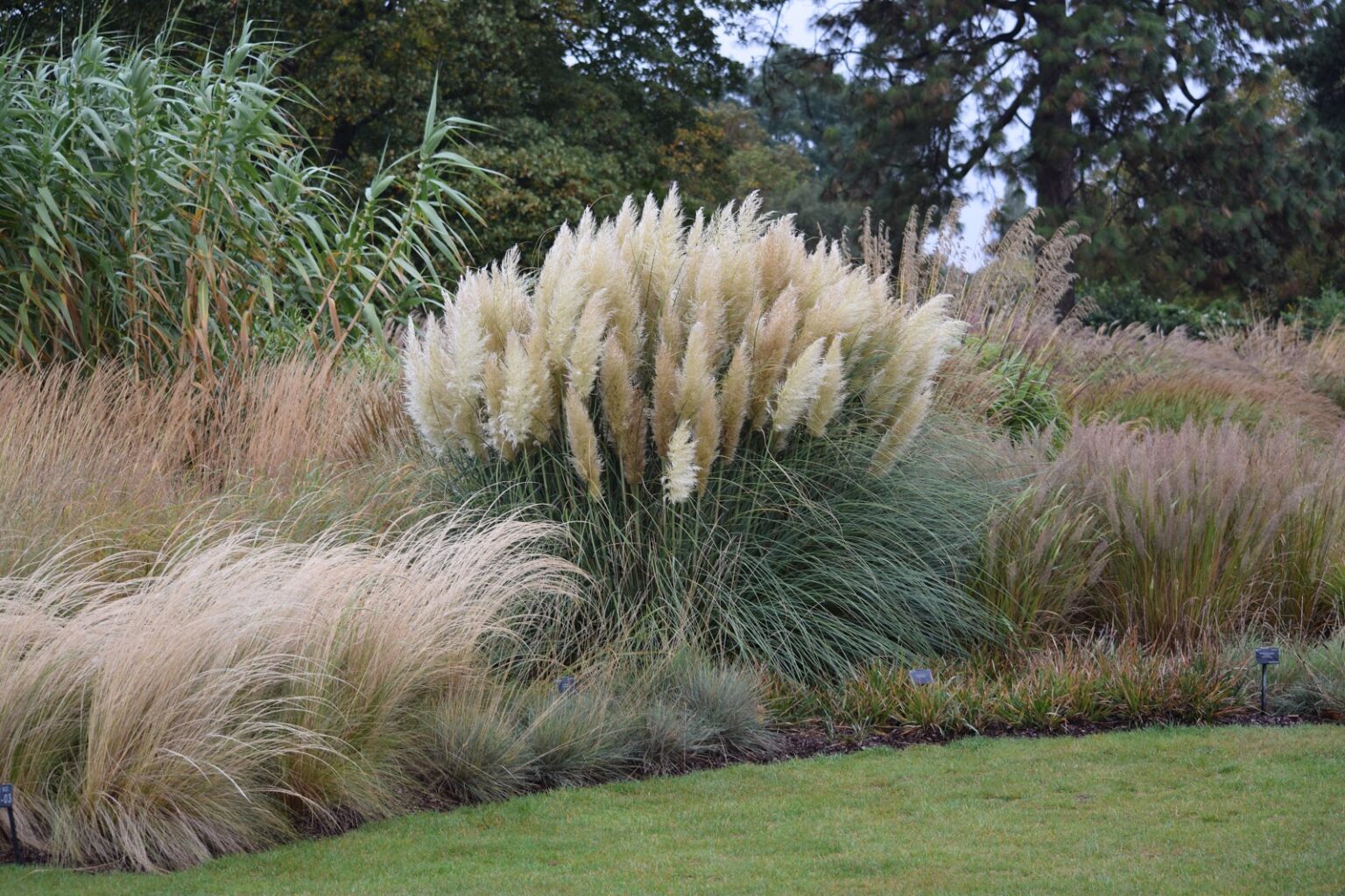 Grass Garden, un escaparate de gramíneas en los jardines de Kew - EL ...