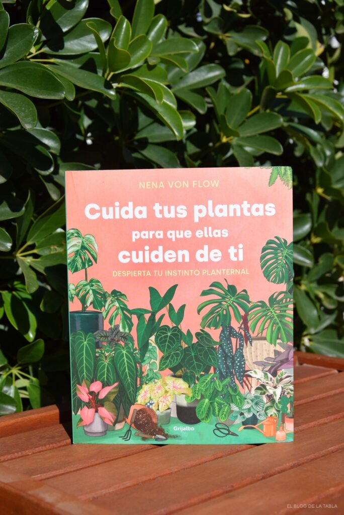 Cuida tus plantas para que ellas cuiden de ti - EL BLOG DE LA TABLA
