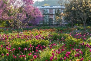 Fotografías de bellos jardines premiadas en IGPOTY 16 - EL BLOG DE LA TABLA