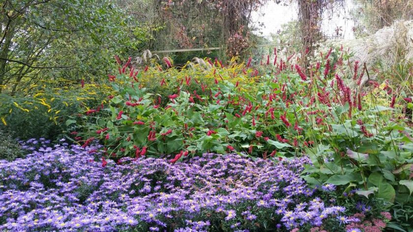 Mien Ruys, pionera del movimiento New Perennial, y sus jardines ...