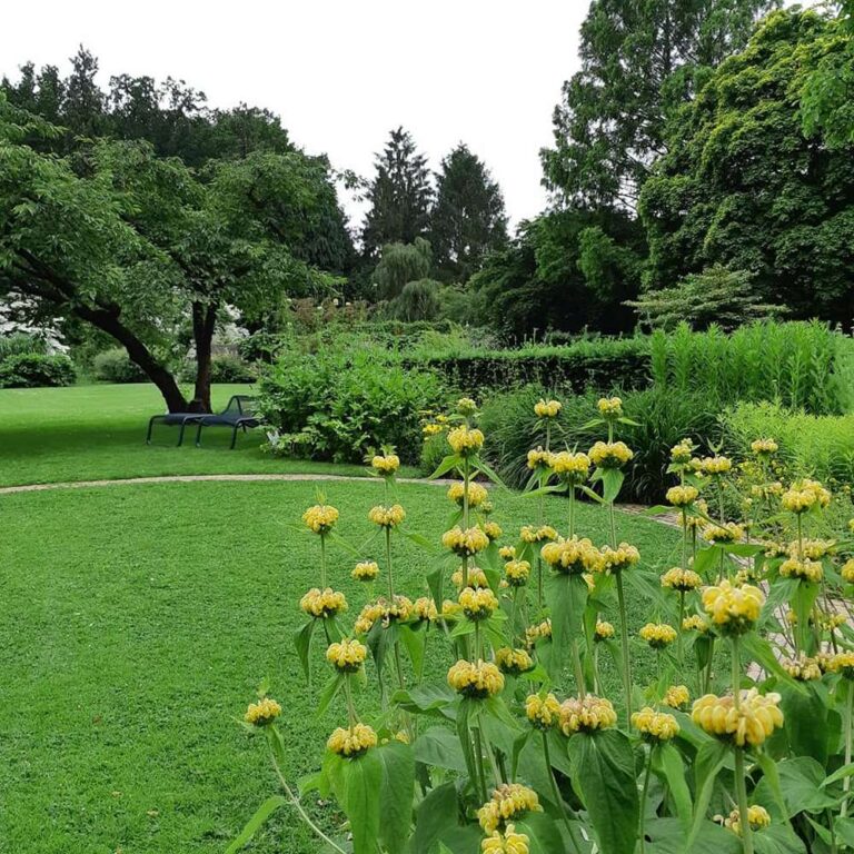 Mien Ruys, pionera del movimiento New Perennial, y sus jardines ...