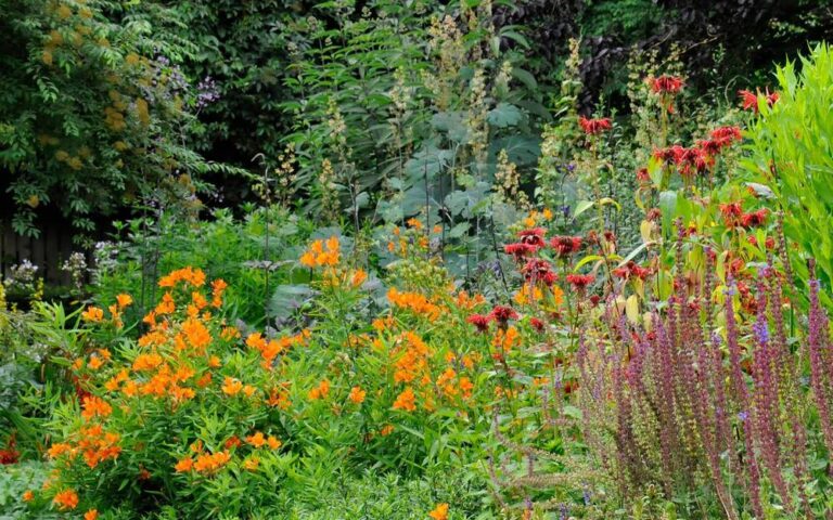 Mien Ruys, pionera del movimiento New Perennial, y sus jardines ...