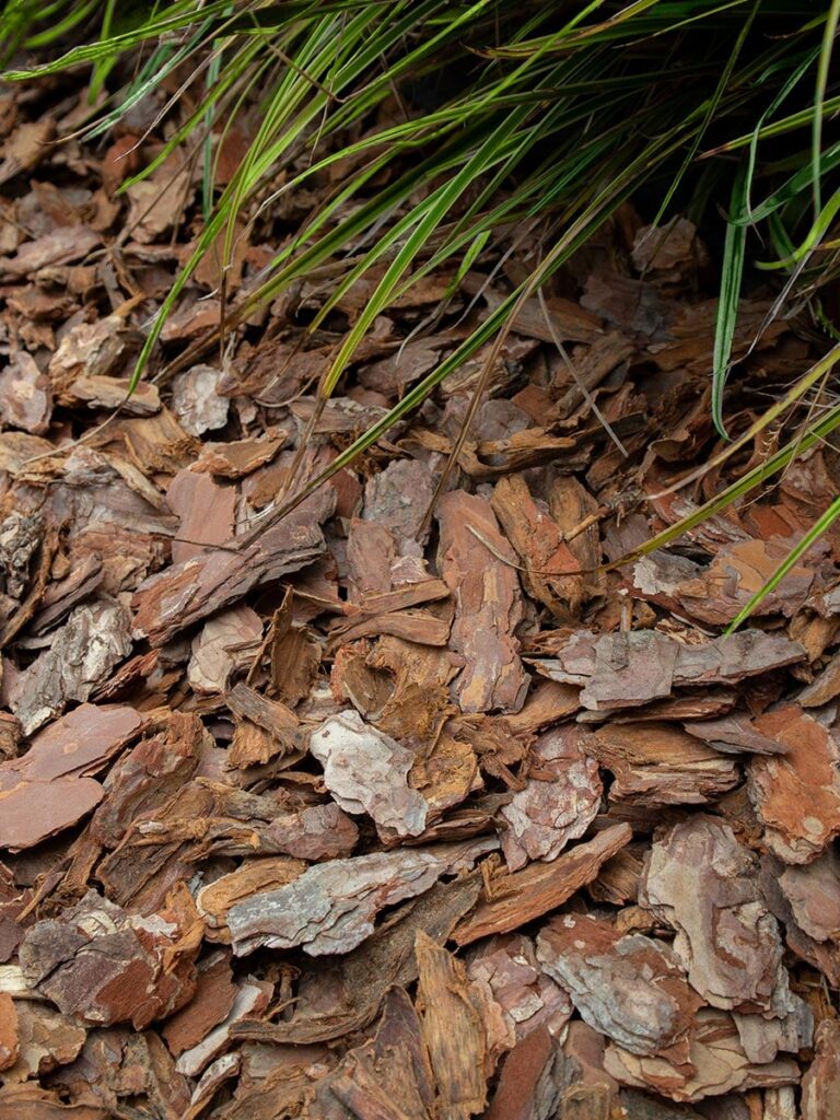 Mantillo o acolchado para reducir la evapotranspiración cuando se ...