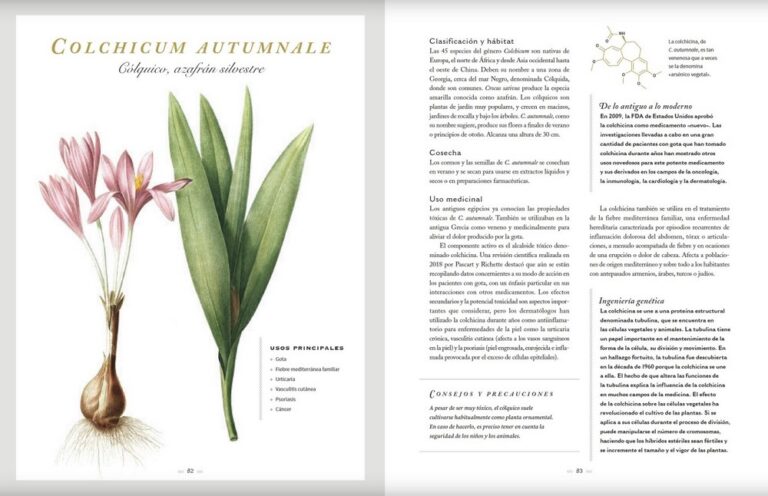 Botanicum Medicinale, un herbario contemporáneo de plantas medicinales ...