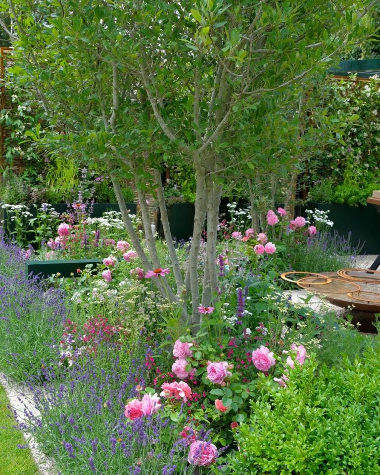 Festivales de la RHS - EL BLOG DE LA TABLA