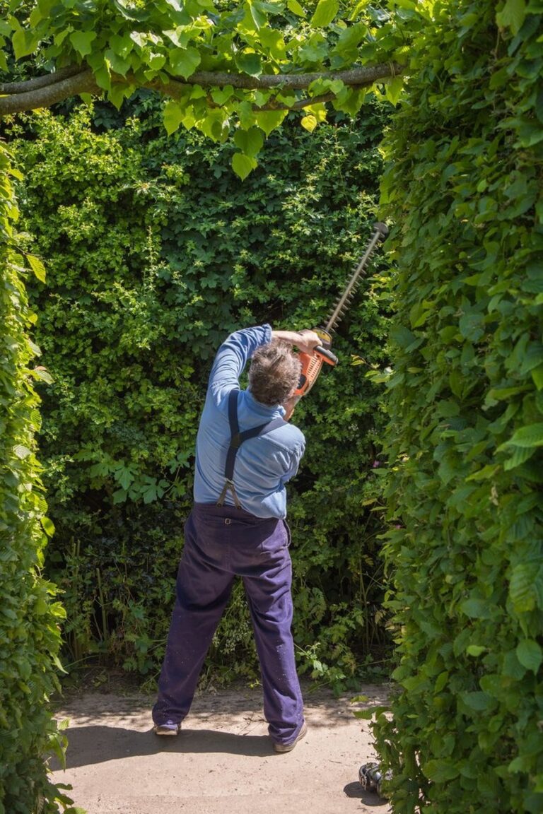 10 libros de jardinería para aprender (y regalar) - EL BLOG DE LA TABLA