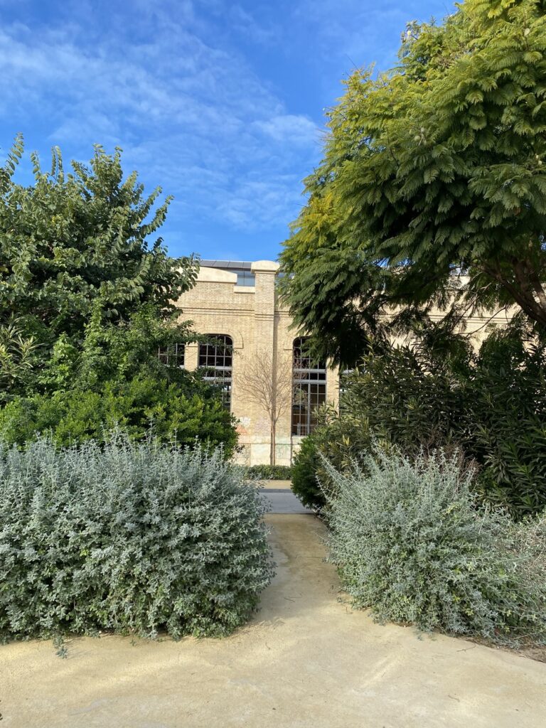Teucrium, especies y variedades de plantas incuestionables para ...