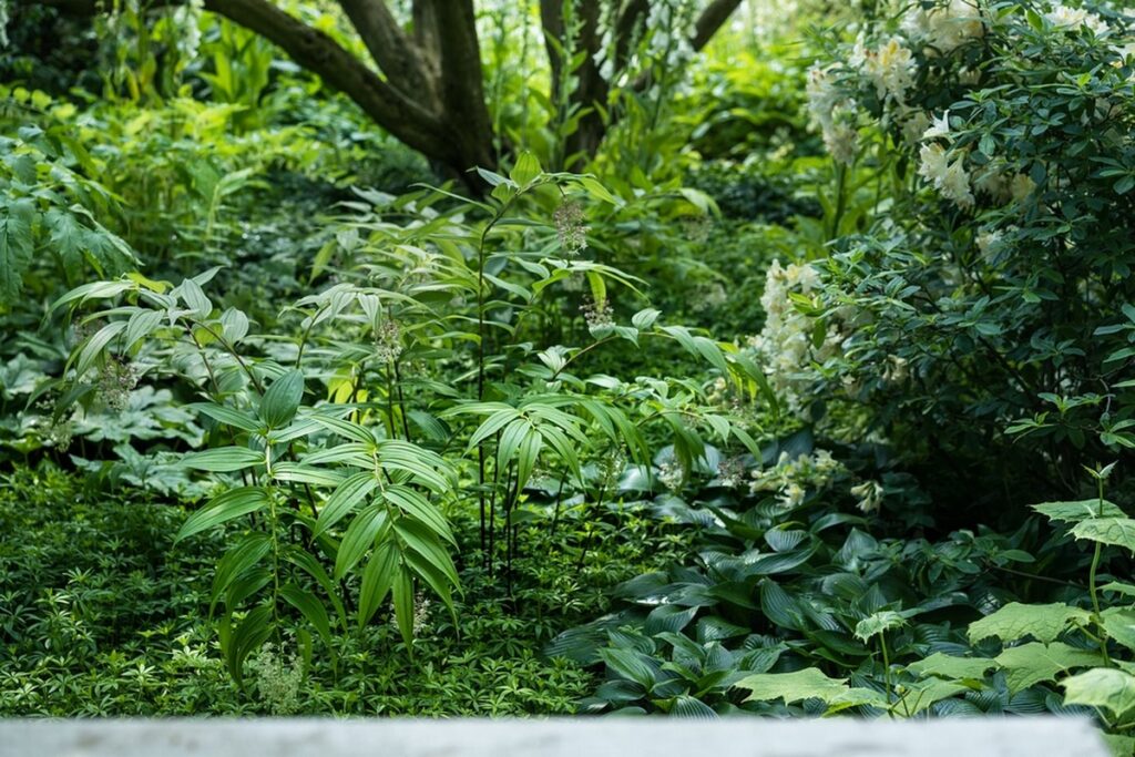 Jardín estilo 'borde de bosque' diseñado por Tom Stuart-Smith para el ...