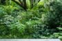 Jardín estilo 'borde de bosque' diseñado por Tom Stuart-Smith para el ...