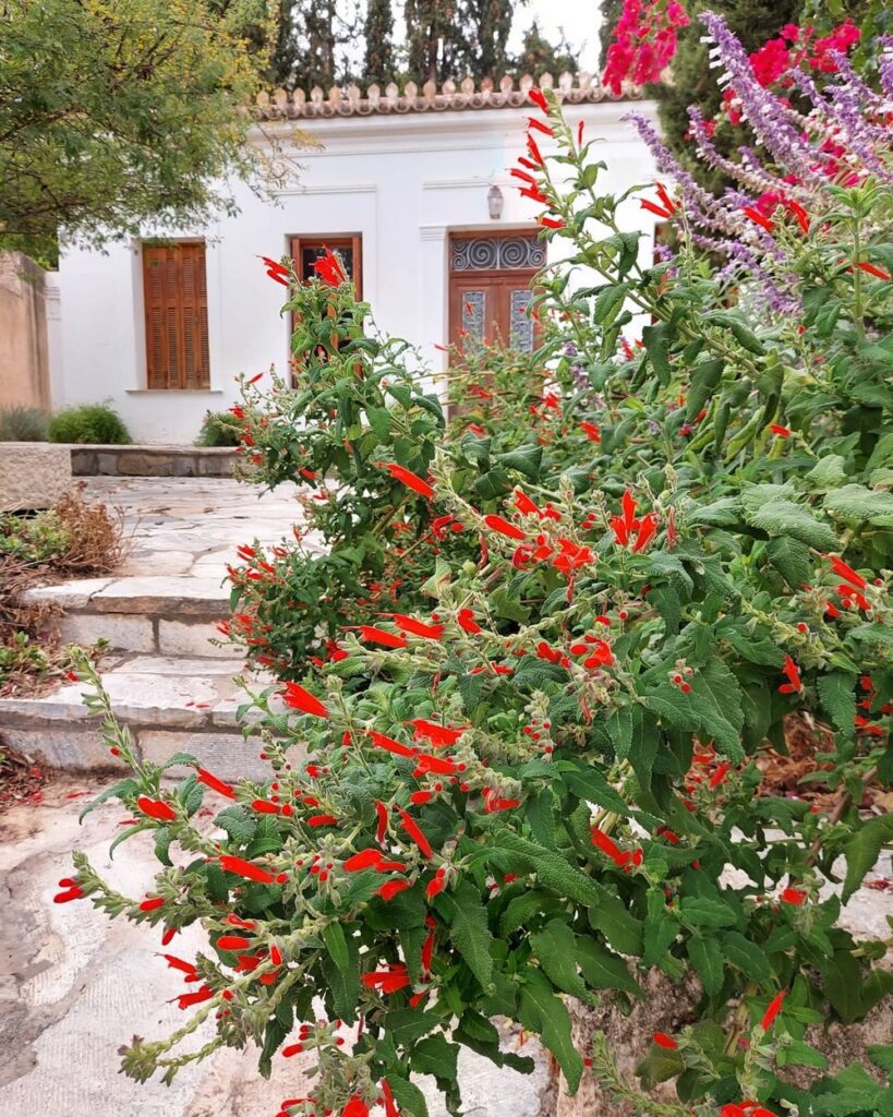 Jardines del Vorres Museum: jardinería mediterránea sostenible al pie ...